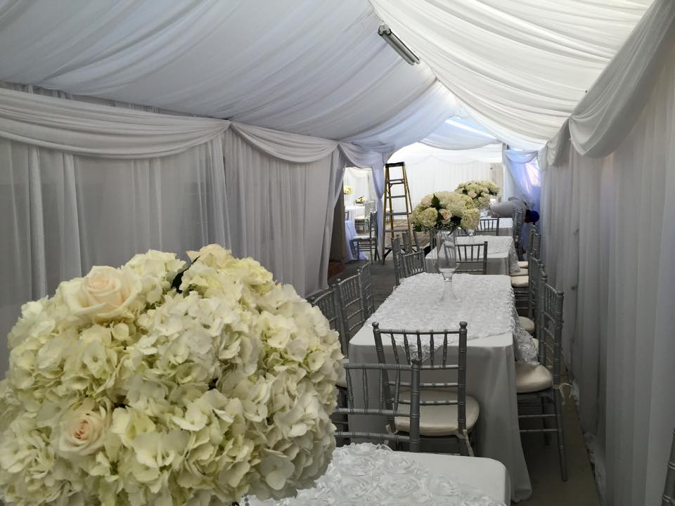 Canopy 10x40 with Drapping - Tent/Canopy 10x with Draping - Tent/Canopy ...